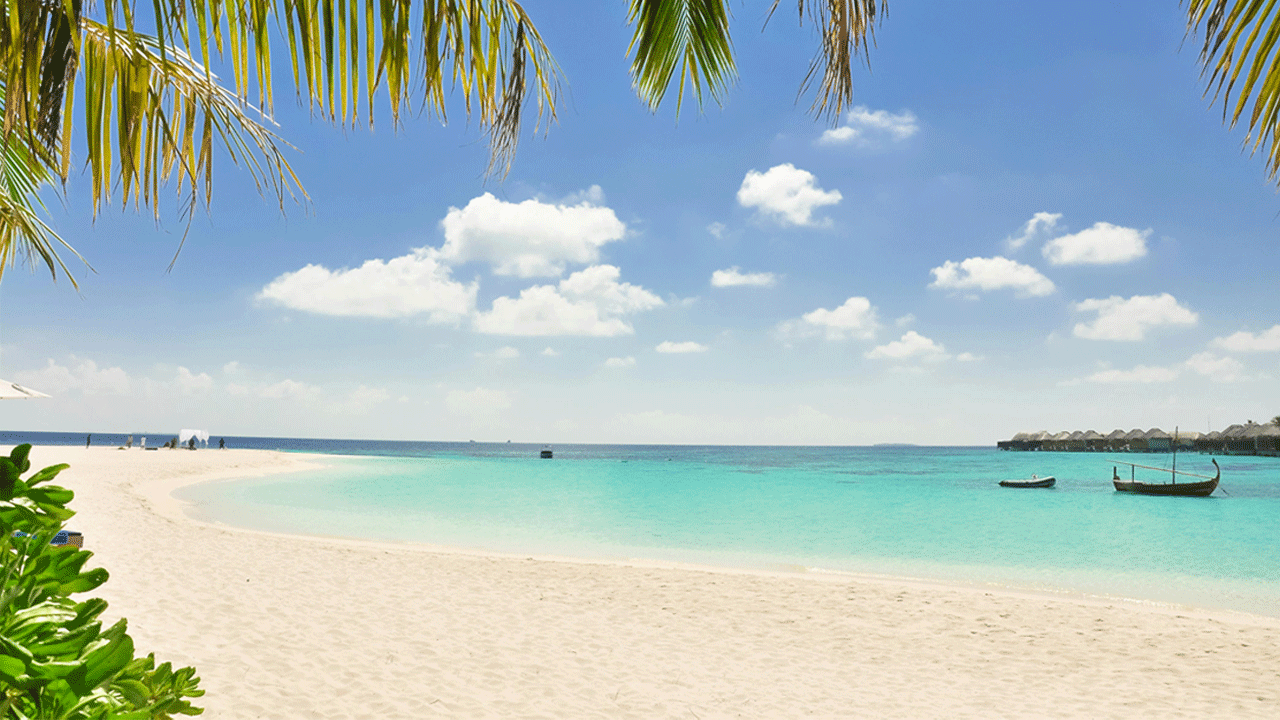 Just Back From Summer Holidays? Save on Tax with Salary Packaging ...